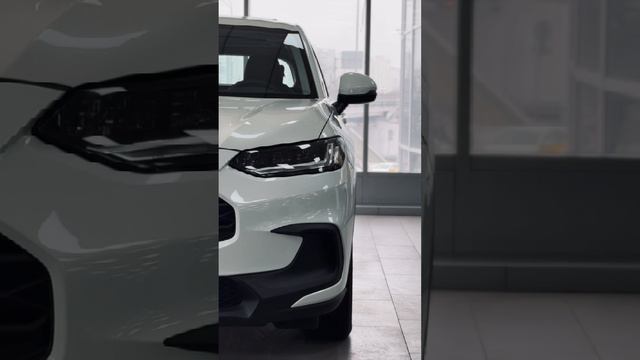 Дерзи с HONDA ZR-V