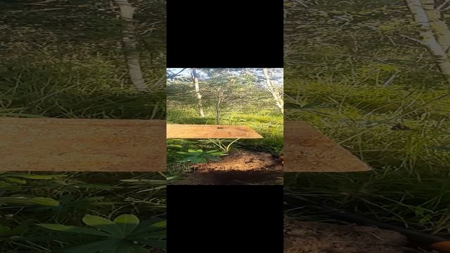 Ещё одна находка из СССР.