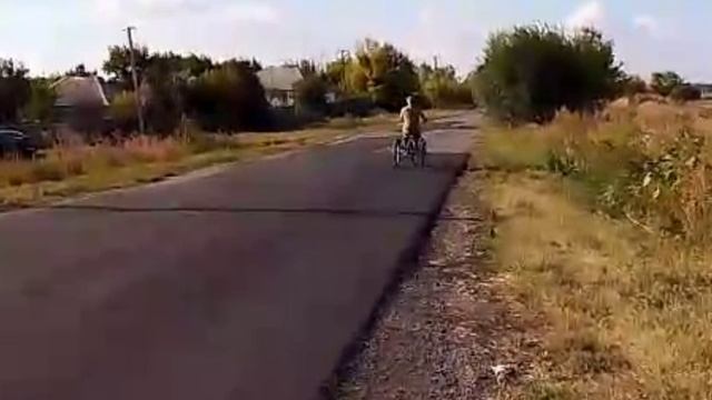 Трёхколёсный мотовелосипед Стелс / Мотовелик