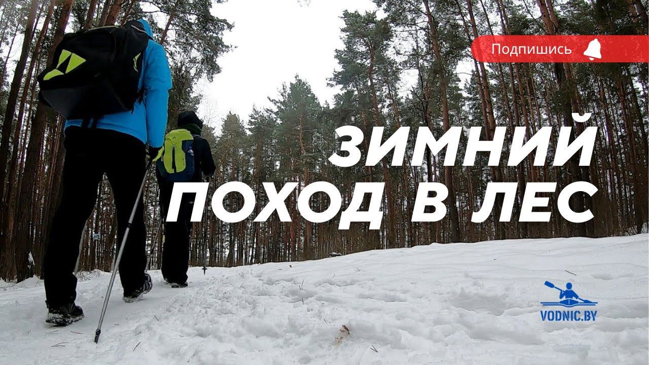 ПЕШКОМ в зимний лес! Поход с привалом на вкусный обед и разведением костра. Витебск Беларусь. Водник