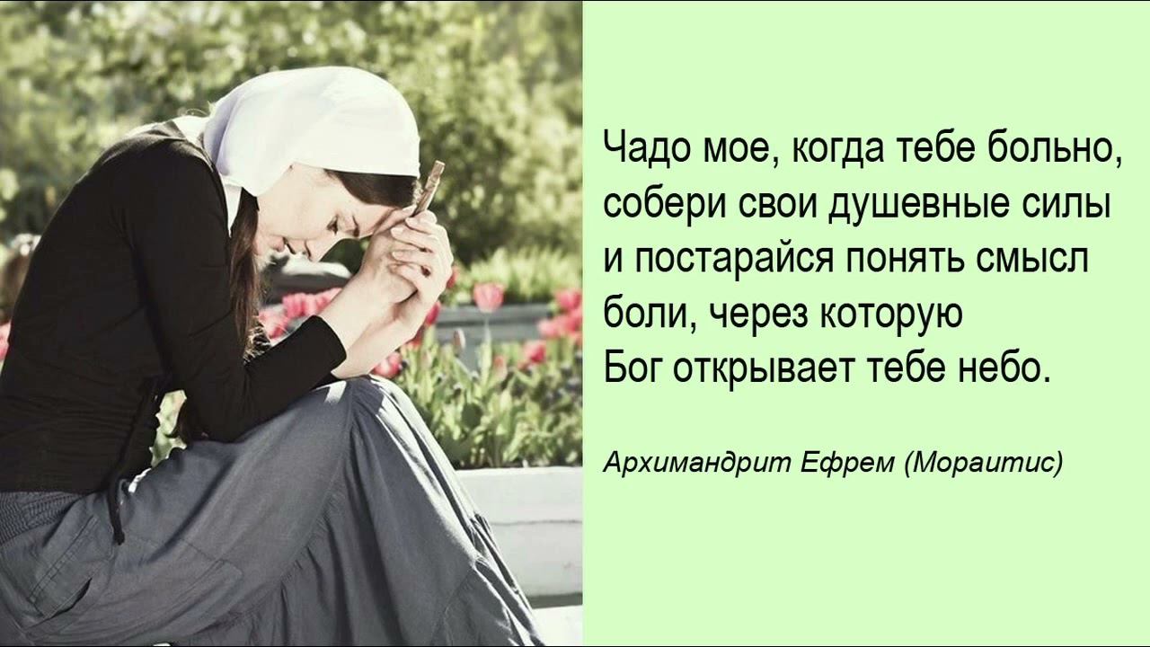 Душе моя, поучения 47