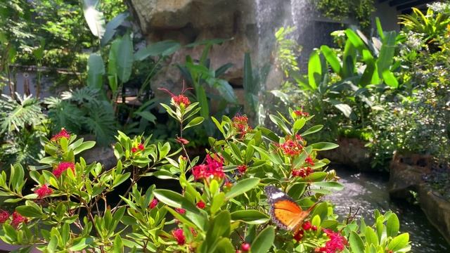 Музыка пианино для души.