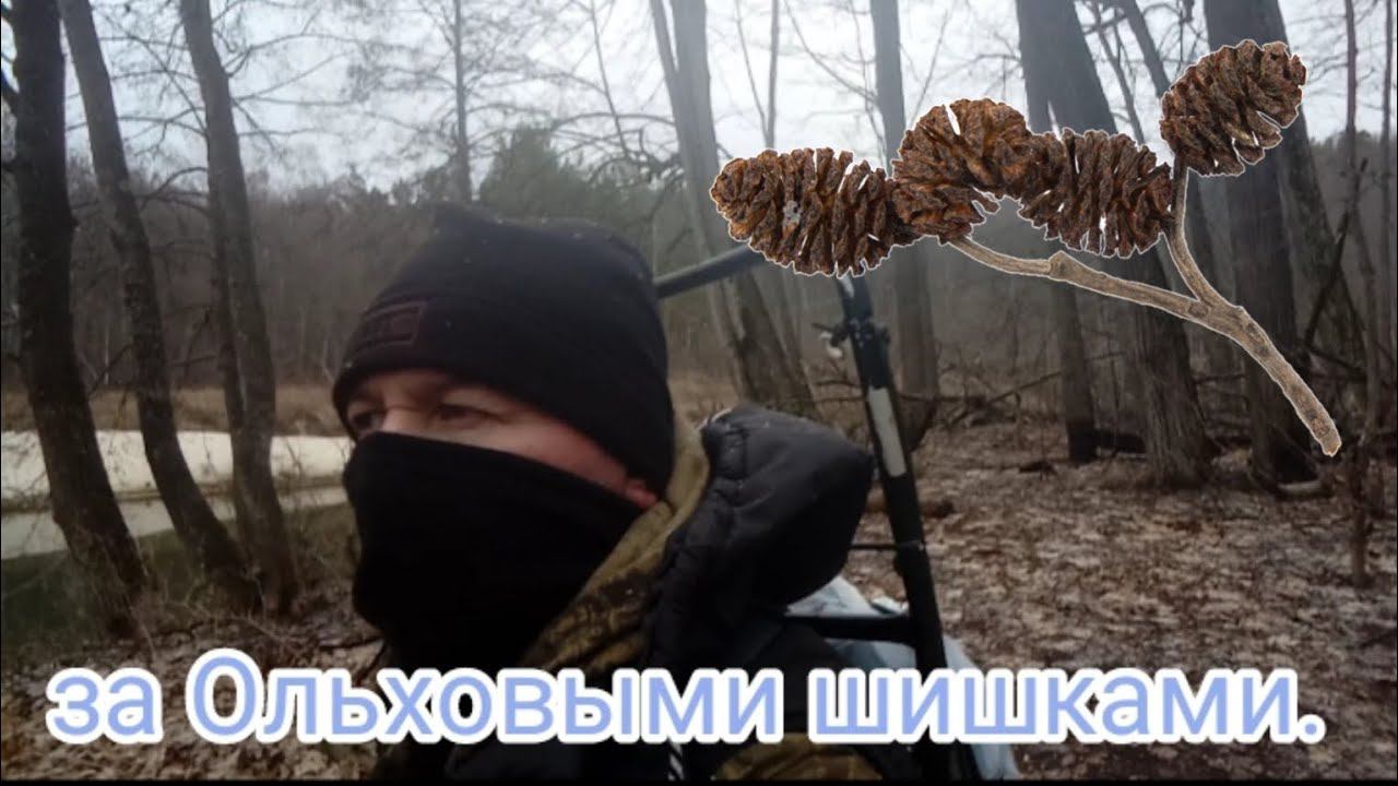 За Ольховыми шишками 1