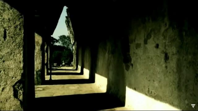 Отрывок из передачи РЕН ТВ с моим участием (Черный Рыцарь).avi