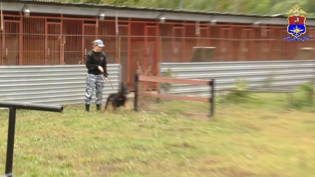 в гостях у кинологов УТ МВД России по ЦФО