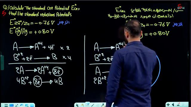 الفصل الرابع - المحاضرة 8