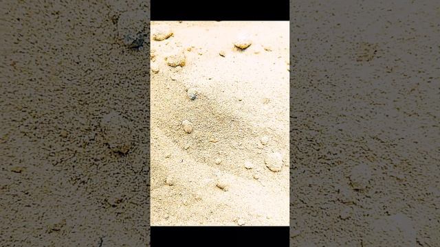 Лайнраум - Вход в Пустоту (сочинение) DEMO