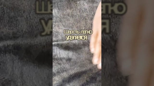 Лежанки для домашних животных