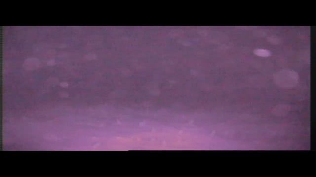 Подводный мир в ГЛУХОЗИМЬЕг МогилёвКамера Мурена,практик АКТИВ