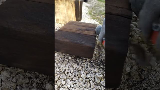 Подставка под скульптуру. Скульптура льва будет красоваться на этом постаменте.