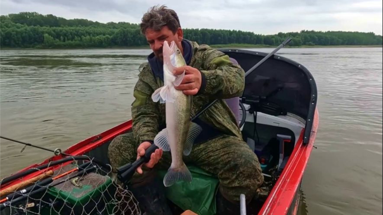 И СНОВА ПЕСКИ. Рыбалка на Оби ( Сузун ) 28 августа 2023г.