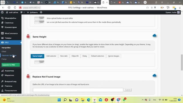 Web разработка 2022