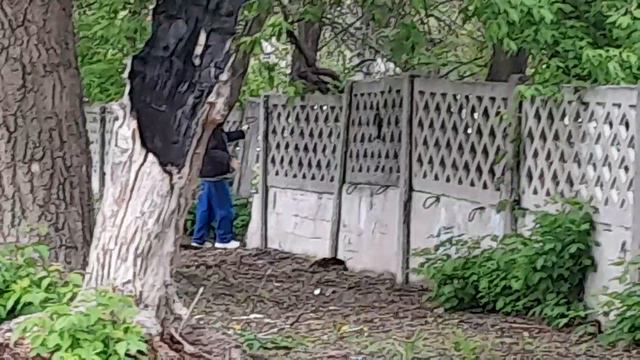 5 Серия "Выживания"