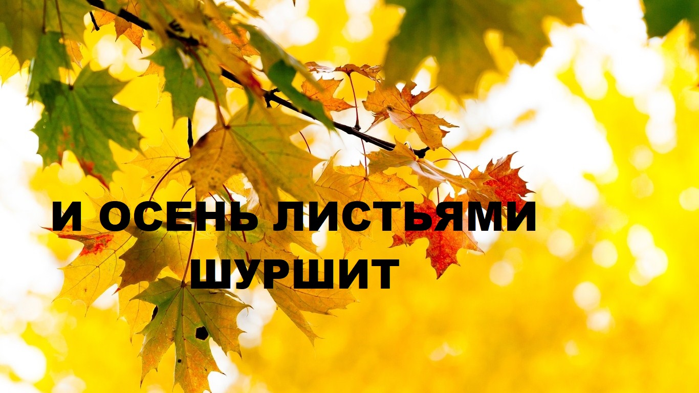 Прикроватный коврик с аппликацией.(2022г)