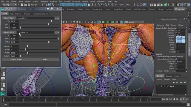 02 16 Creating Latissimus Dorsi Muscles