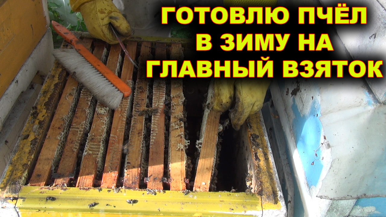 Главный взяток. Время подготовки к зиме.