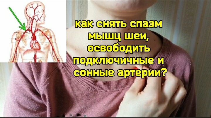 Хотите укрепить шею и улучшить мозговое кровообращение? Упражнения для подключичной и сонных артерий