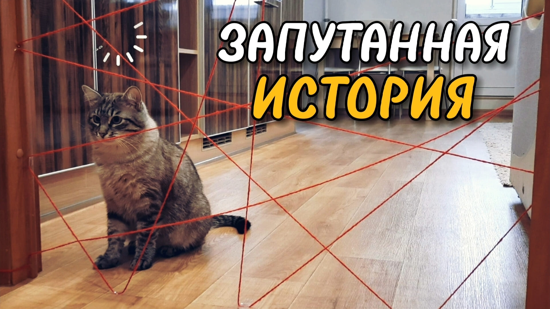 Кот и кошка: "Запутанная история"