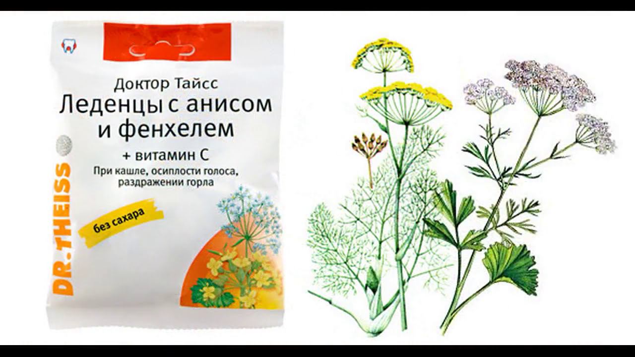 ПРЯНОСТИ И СПЕЦИИ.АНИС. советы для начинающих огородников