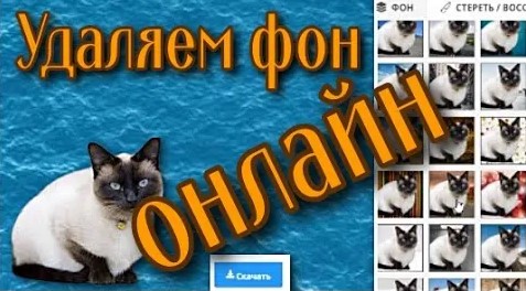 Как удалить задний фон онлайн.