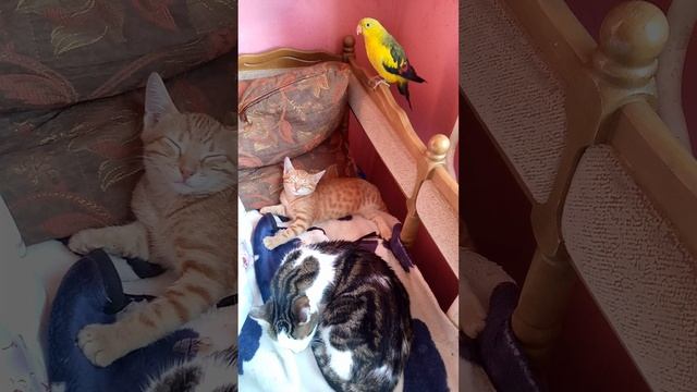 вот так и пхнем по жизни.mp4