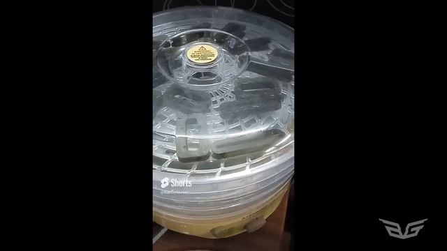 Ремонт звукоснимателя - Rellog Gitona