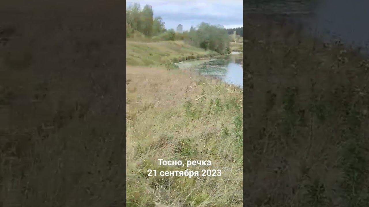 Тосно, родные просторы