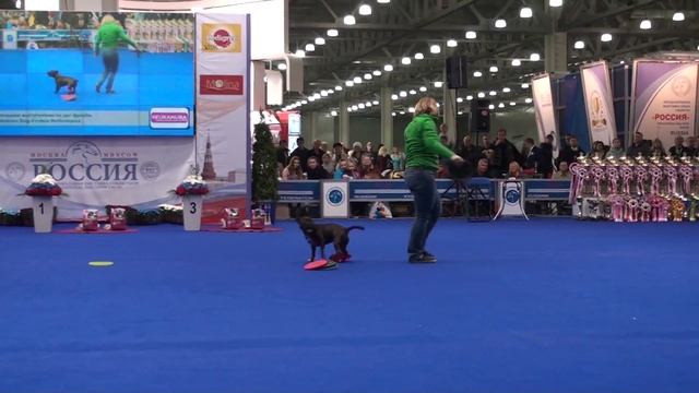 РОССИЯ 2014 Елена и Умка.mp4