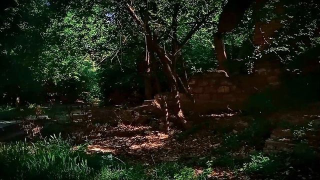 Атмосферный заброшенный дом в Аршинцево