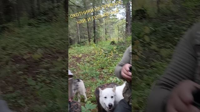 охотники на привале. чай и только чай!!!