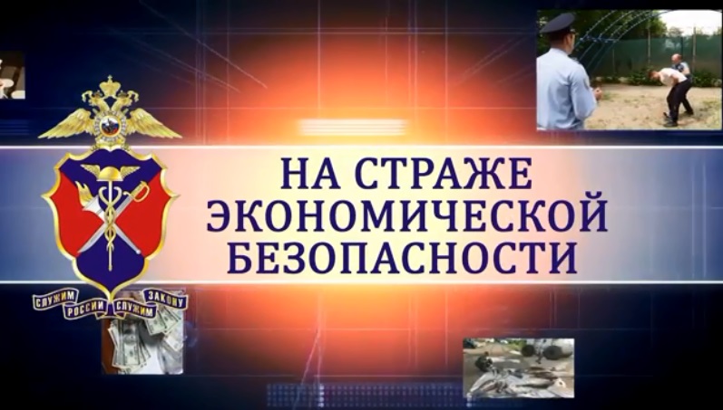 На страже экономической безопасности