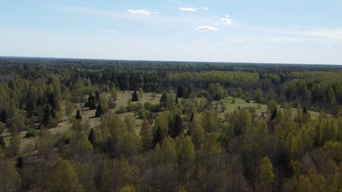 Покопушки в деревушке.