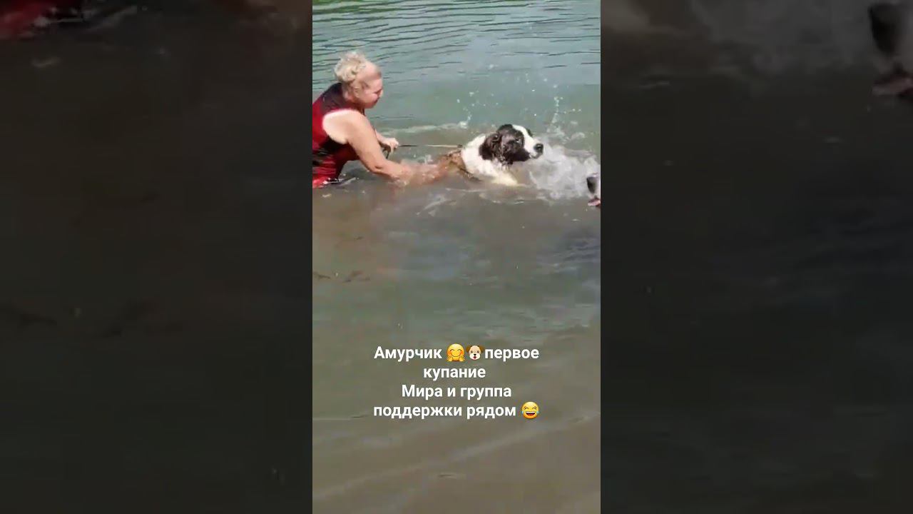 Амур, первое купание