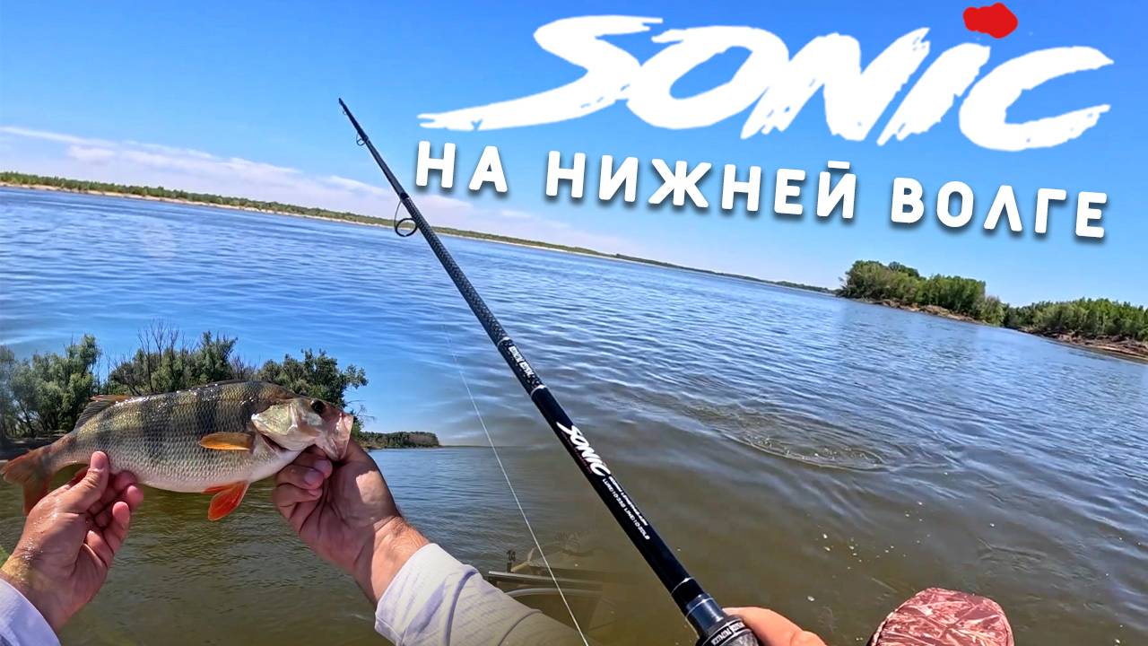 Рыбалка на Нижней Волге на спиннинг Ronin Rush - Sonic 802MH