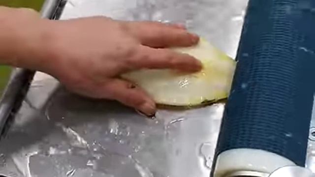 Шкуросъемная машина для рыбы и кальмара CH-350Р