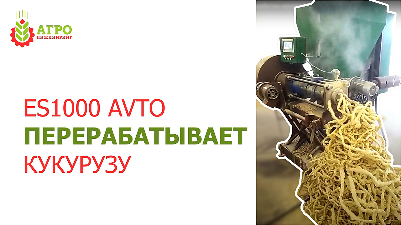 Процесс экструдирования кукурузы экструдером ES-1000 Avto max, г. Ярославль.