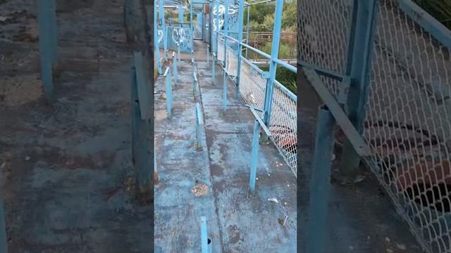 VID_20221216_114016_061.mp4