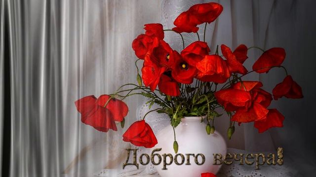 Футаж. Добрый вечер 5