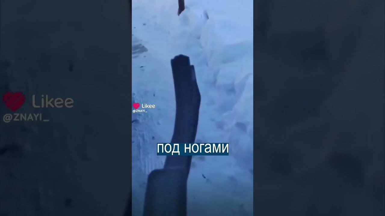 Китайцы не любят российских морозов