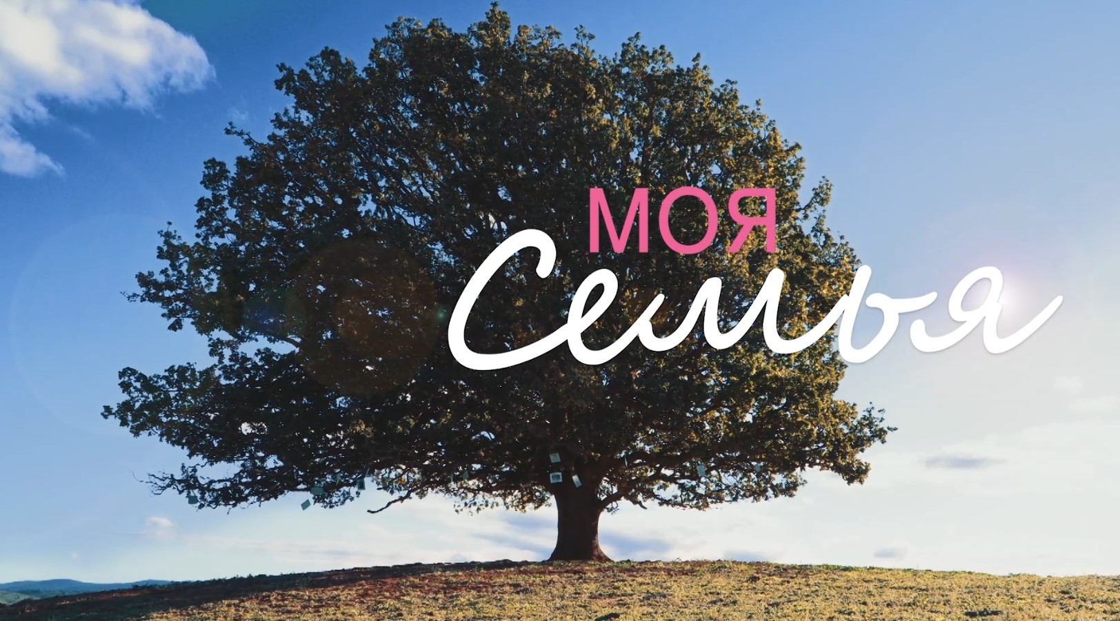 Моя семья 15.04.24