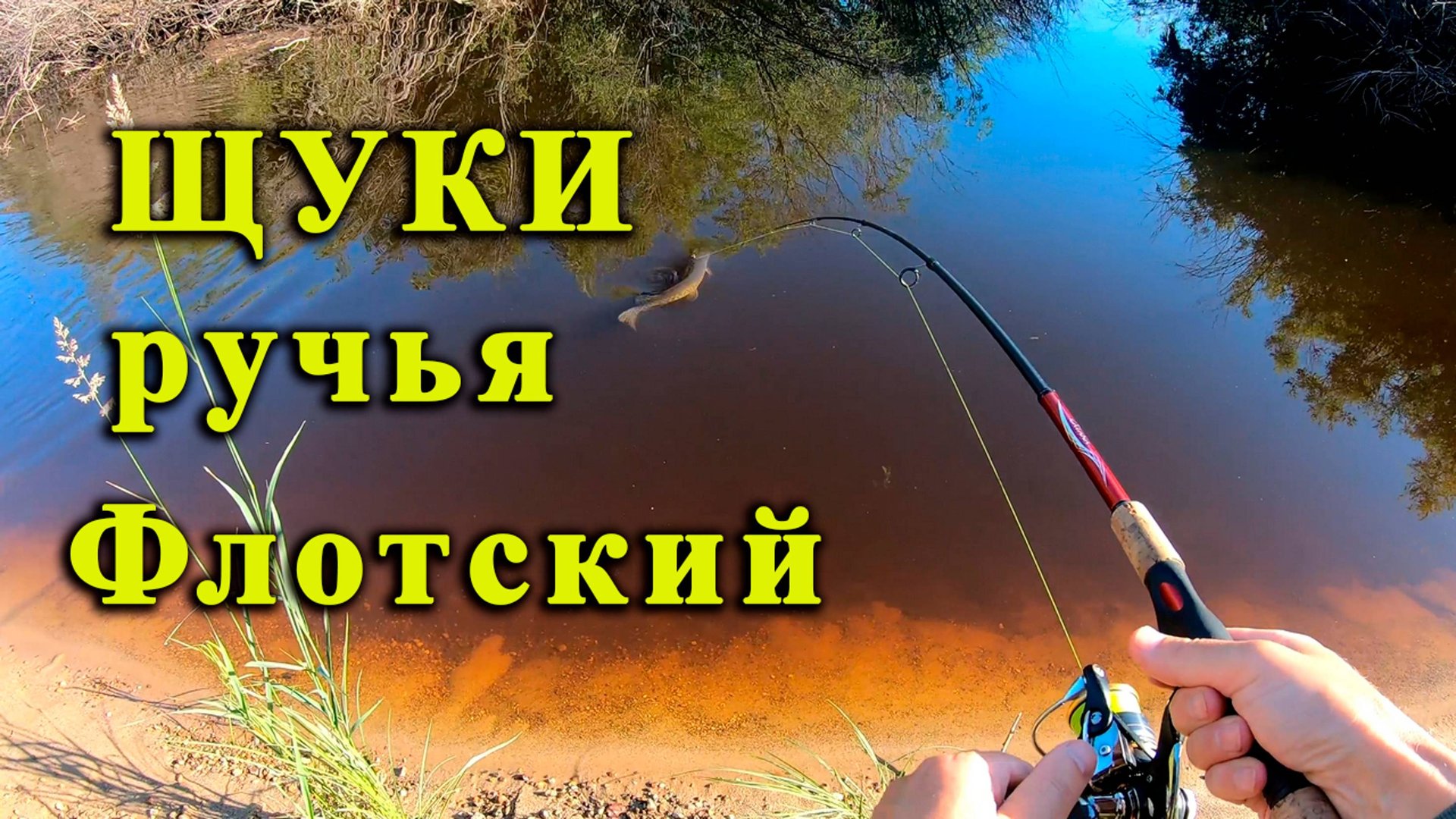 ЩУКИ ручья Флотский / ПВД на озеро Чля в августе 2024