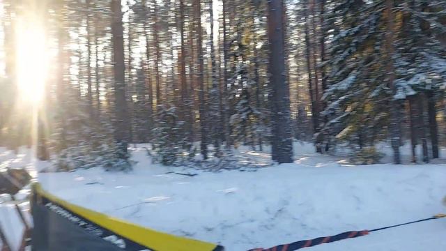 Подготовка к проведению мероприятий в рамках реализации проекта "Квест Гонка Милосердия"