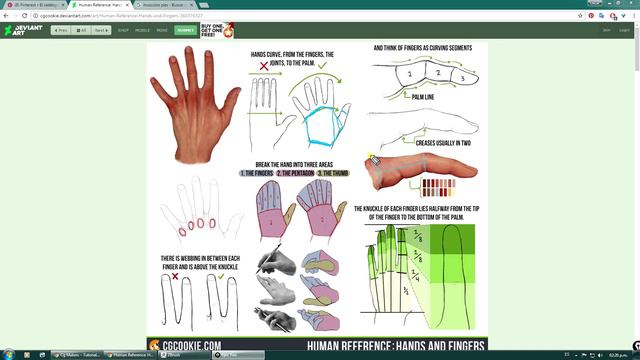 Anat-Vol 03-14  Guides_and_proportions