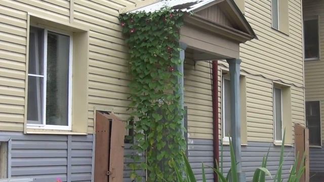 Все видео_А у нас во дворе.mp4