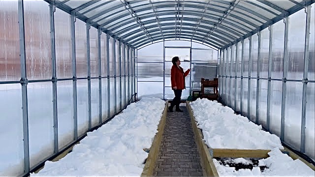 Зима на Урале. Немного о теплице и посадках.