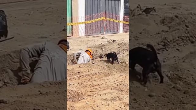 Напарники )))