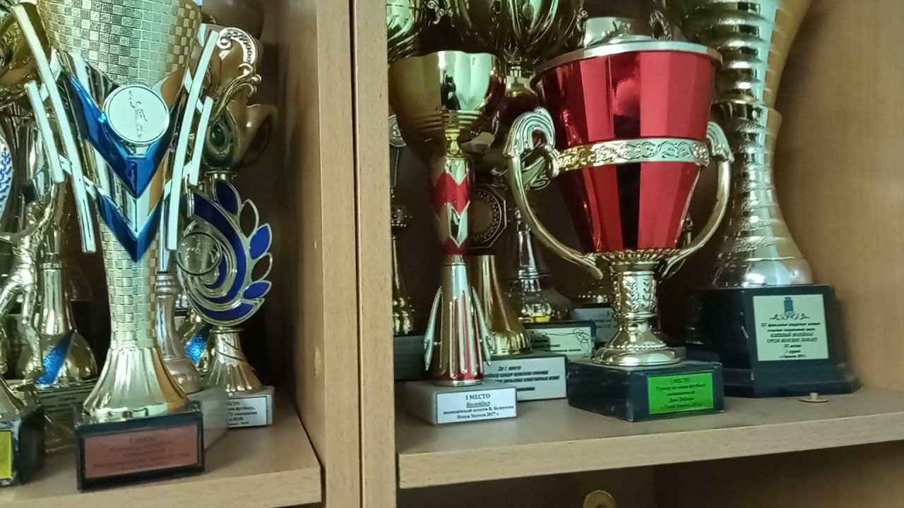 КУБКИ, НАГРАДЫ | ЗДОРОВЫЙ ОБРАЗ ЖИЗНИ