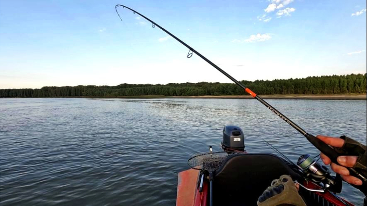 И все-таки он случился. Рыбалка на Оби ( Сузун ) 24 июля 2023г. Долгожданный щучий выход.