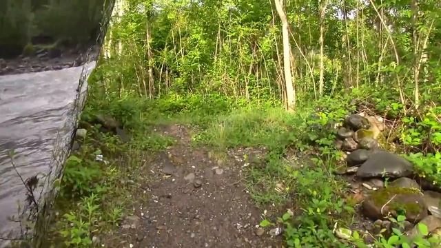 2017_06_03_ПЛАСТУНКА_СОЧИ.mp4