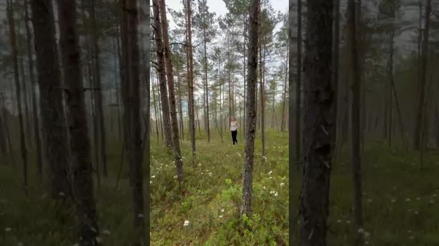 Как без кино на природе